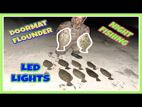 NIGHT FISHING BIG FLOUNDER with LED LIGHTS! - YouTube