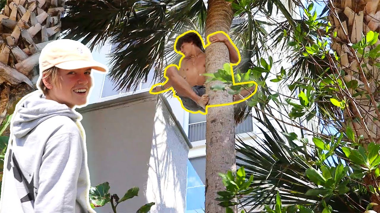 He Fell Out of a Tree! - YouTube