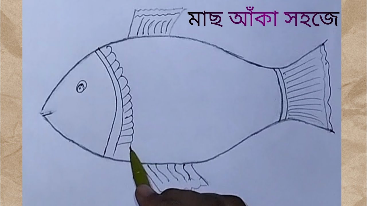 Fish Drawing Step by step || সহজে মাছ আঁকা দেখুন - YouTube