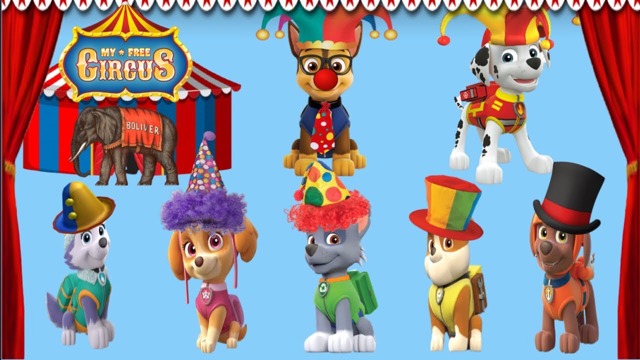 Paw Patrol Goes To Circus 🎪 | Fun Tricks With Dogs And Clowns - YouTube