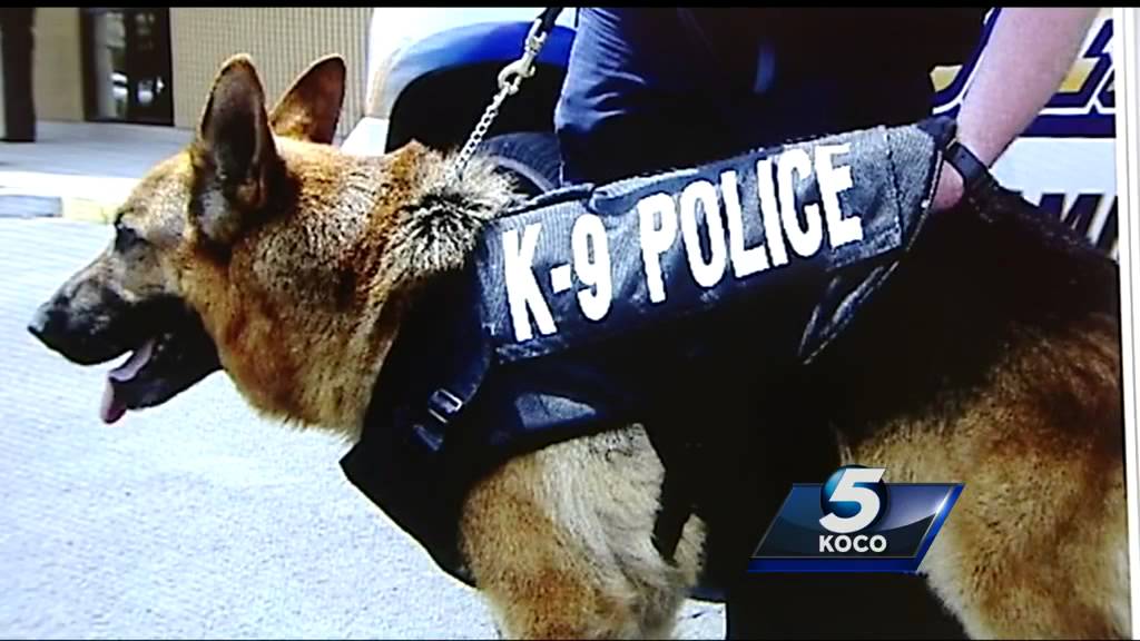 K-9 units in Oklahoma City get protective vests - YouTube