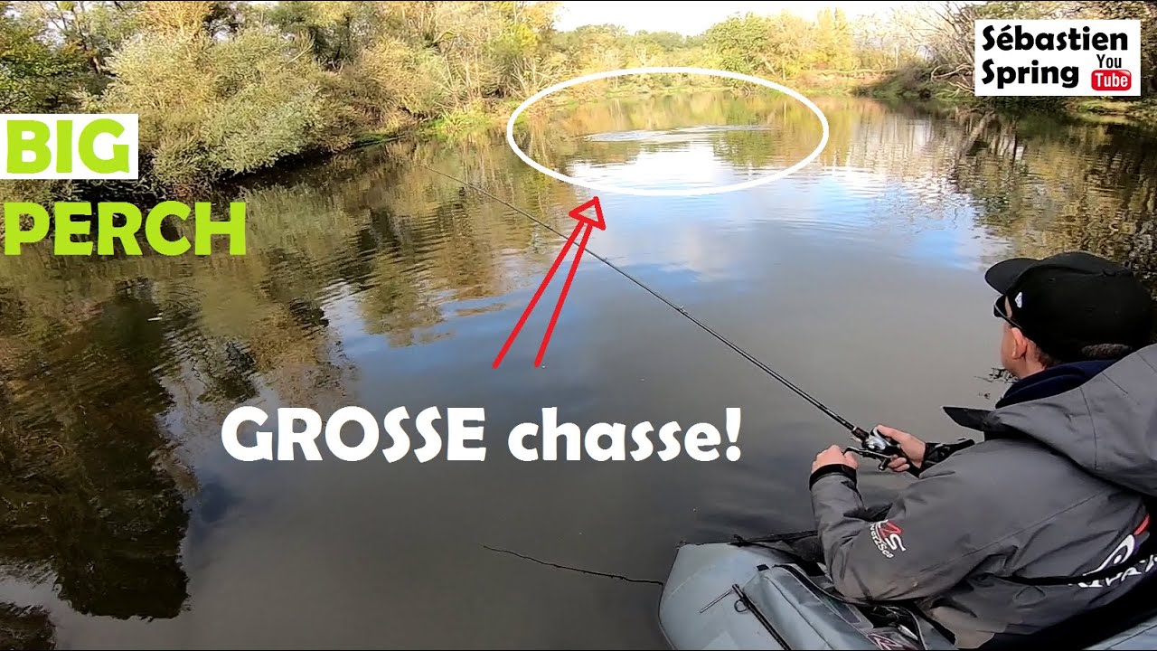POISSON sur CHASSE! - YouTube