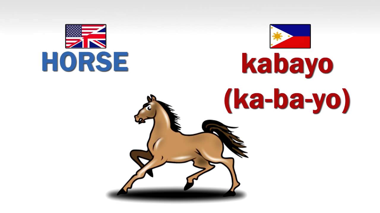 How to speak Bikol - Domestic Animals (Part 1) - YouTube