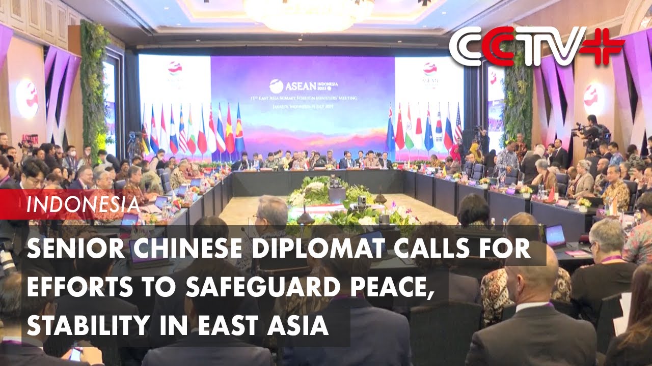 Senior Chinese Diplomat Calls for Efforts to Safeguard Peace, Stability ...