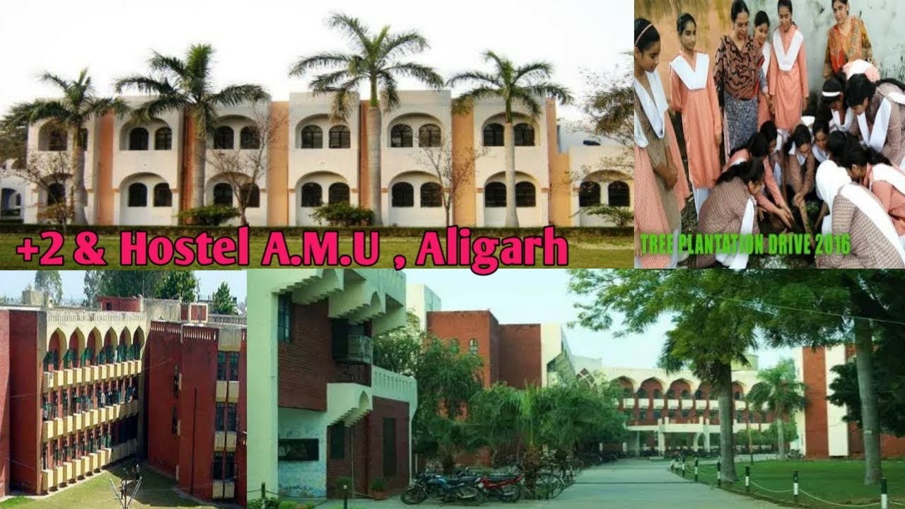 Amu University Hostel