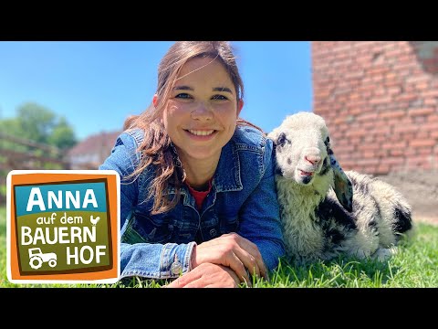 Anna auf der Bauernhof | Der Film