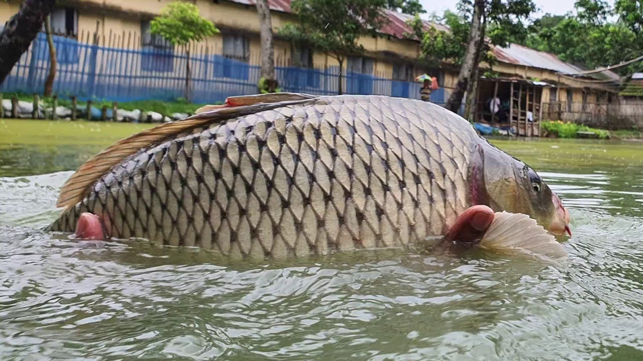 Unique Underwater Fishing | Best Fish Catching | Best Fishing Video ...