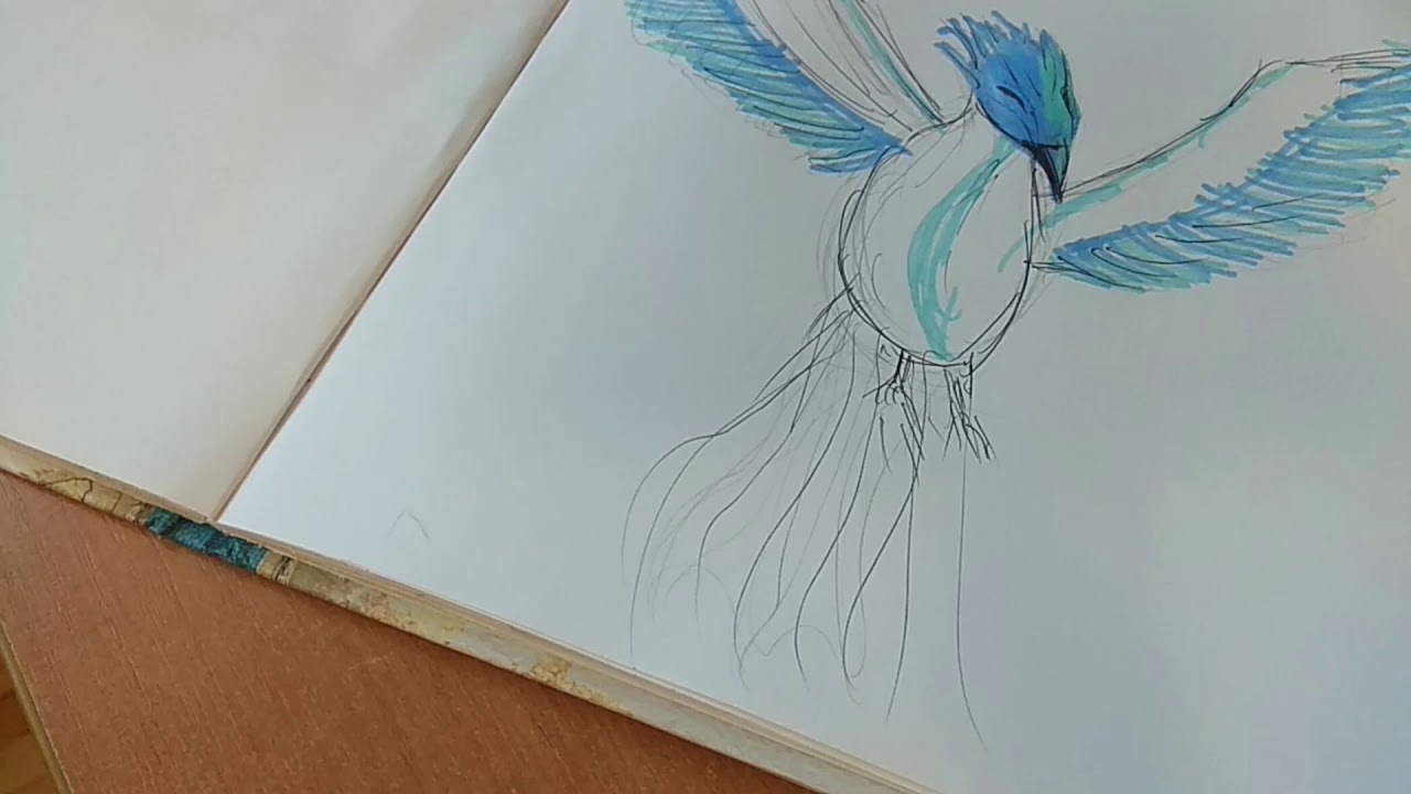 Як намалювати Фенікса/How to draw Phoenix - YouTube