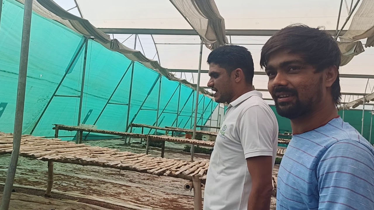 Visit to reva flora tissue culture, MP - YouTube