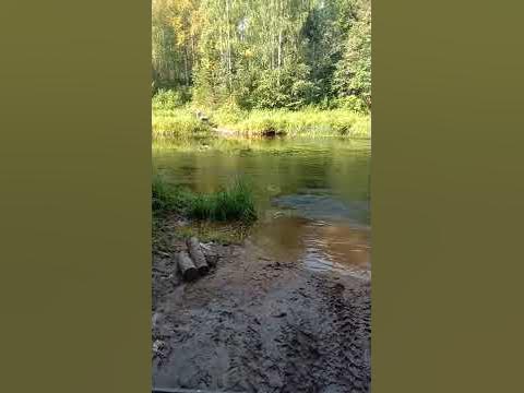 Река Обокша - YouTube