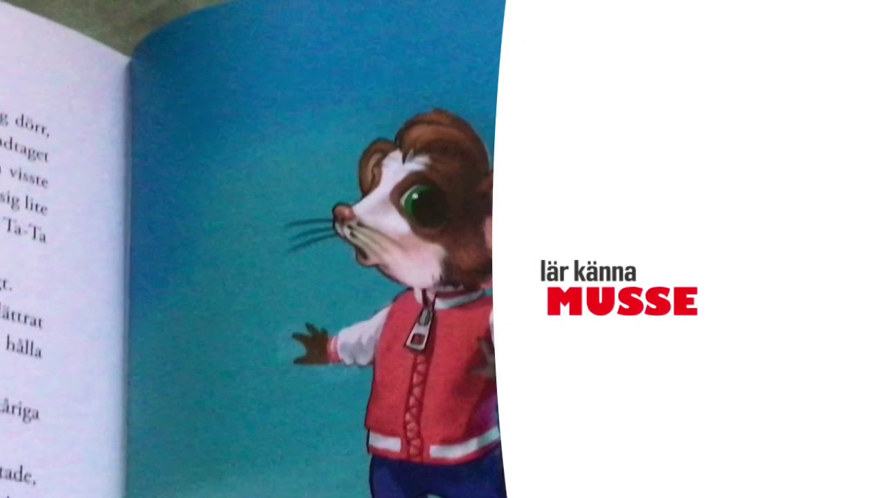 En bok recension - YouTube