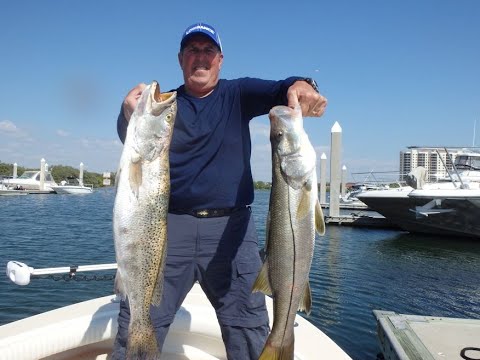 SNOOK IN THE MANGROVES Fishing Adventures Florida Episode 11 - YouTube