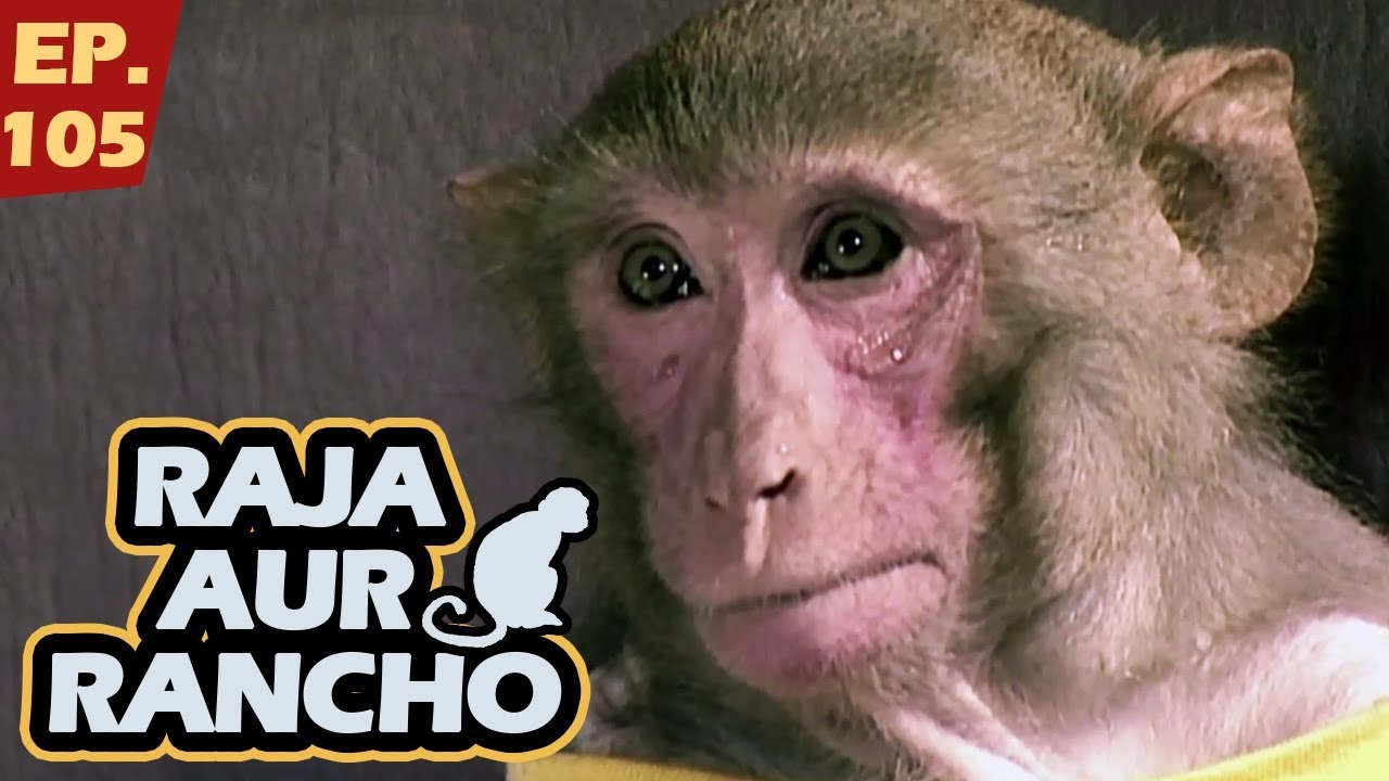 राजा और रैंचो - Episode 105 - Raja Aur Rancho - 90s Best TV Shows ...