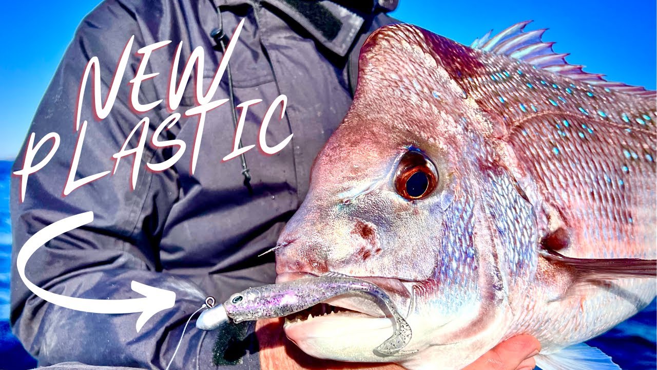 NEW LURE **Big Angry Snapper cannot resist the new Soft Plastics - YouTube