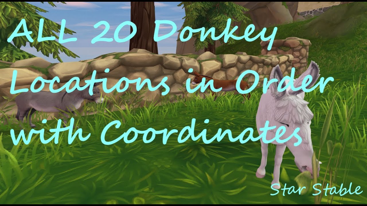 ALL 20 Donkey Locations in Order with Coordinates! | Star Stable SSO ...