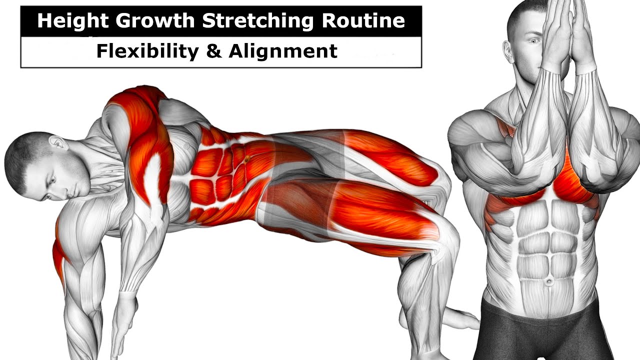 Height Growth Stretching Routine | Improve Flexibility & Alignment ...