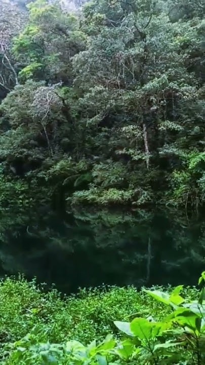 Telaga Biru is located on Mount Gede Pangrango via Cibodas, Indonesia - YouTube