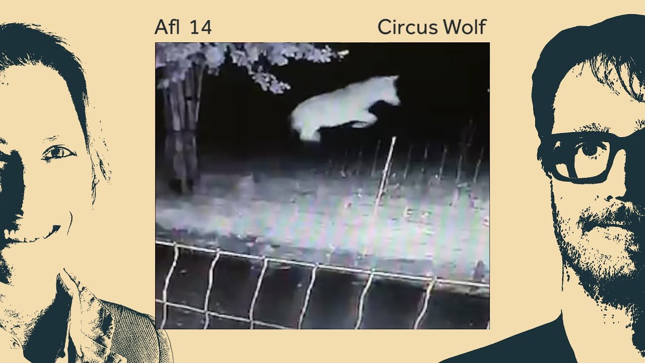 Circus wolf - YouTube