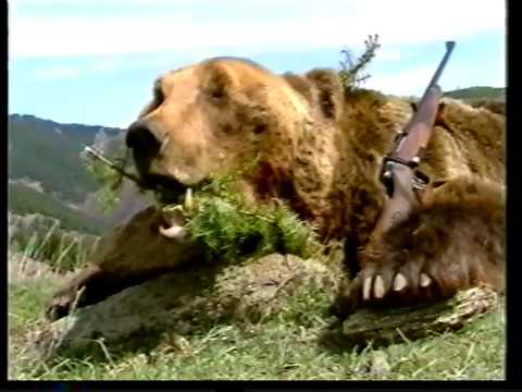 LOV NA MEDVJEDA - YouTube