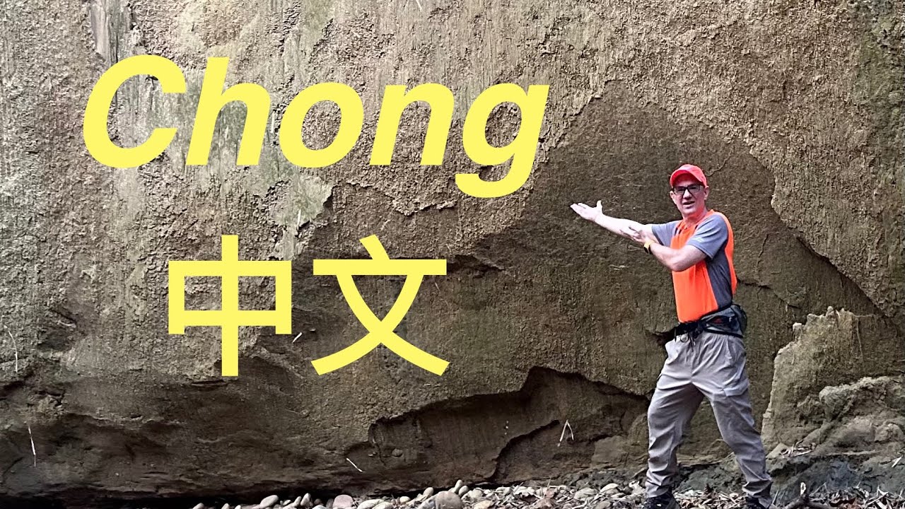 “Chong” (Chung) in Traditional Chinese Characters | ㄔㄨㄥThree tones | ft ...
