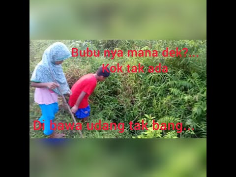 DUA BOCIL AMBIL BUBU UDANG DI PARIT DANGKAL APA YANG MEREKA DAPAT