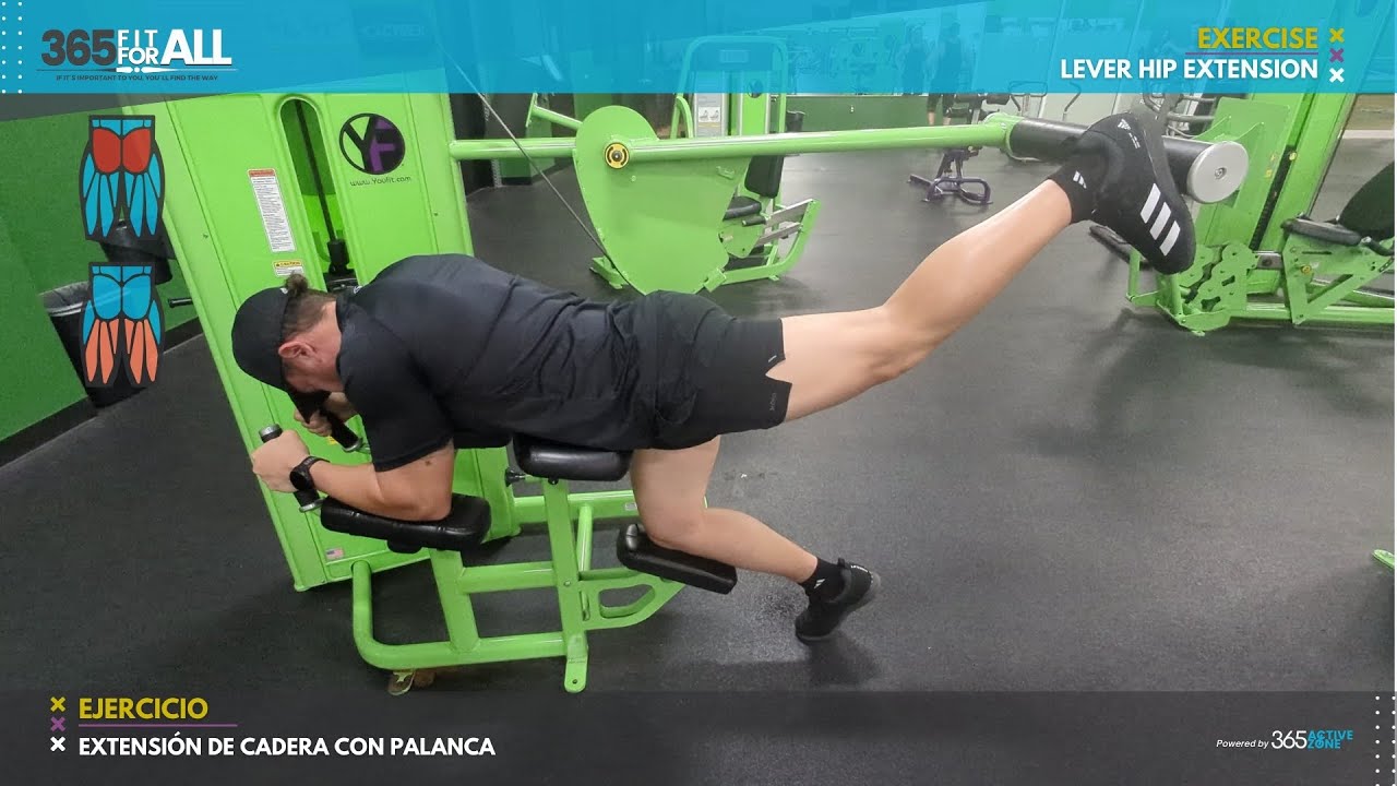 Lever Hip Extension - 365F4A - YouTube