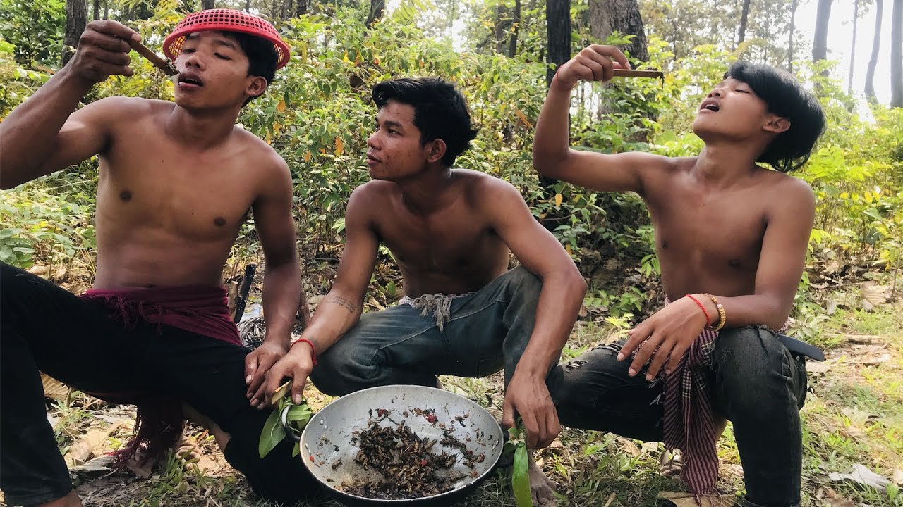 Fried Mole Cricket In The Forest To Eating - YouTube