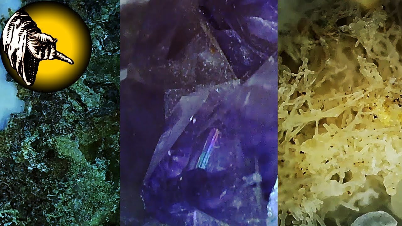 Amethyst Crystal Up Close | Under The Microscope | (Relaxing, No ...