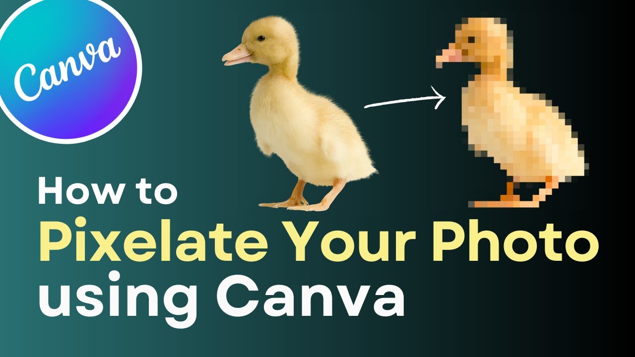 First Impression of New Canva App: Pixelify (Pixelate Your Photos!) - YouTube