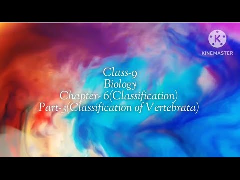 Class-9/Biology/Chapter- 6/Part-3(Classification of Vertebrata) - YouTube