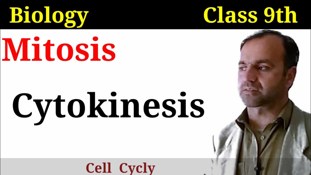Cytokinesis Class 9 Biology || Mitosis | Cell Division | Cell cycle ...