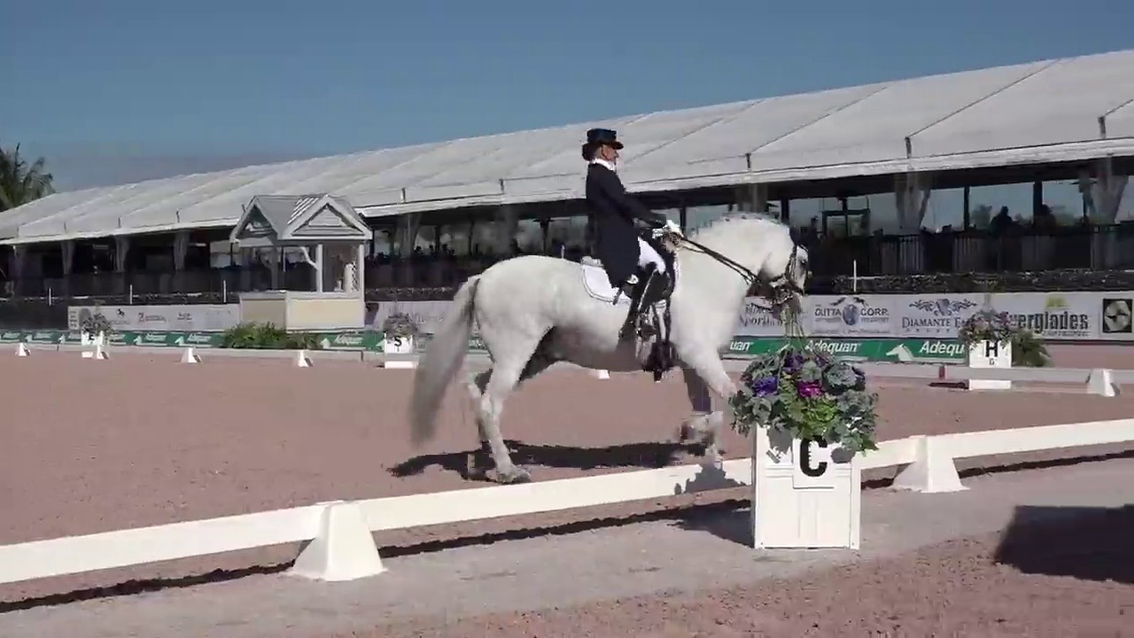 Patterson Dressage Music - The Sound of Music 2017 Inter 1 Freestyle ...