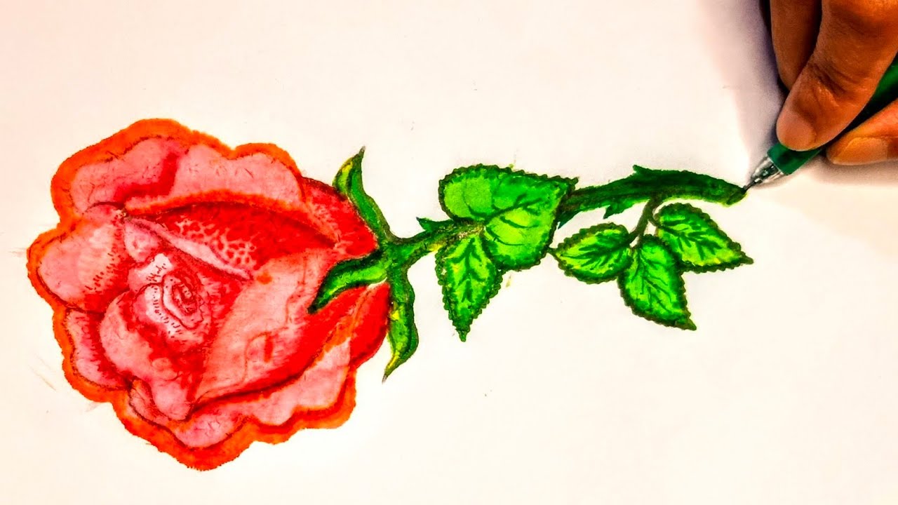Rose drawing easy | how to draw rose easy | Golap aka - YouTube