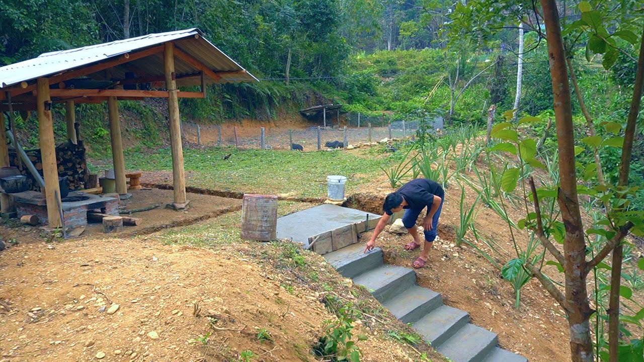 Make a solid staircase to the pig farm - Forest life | Ep.477 - YouTube