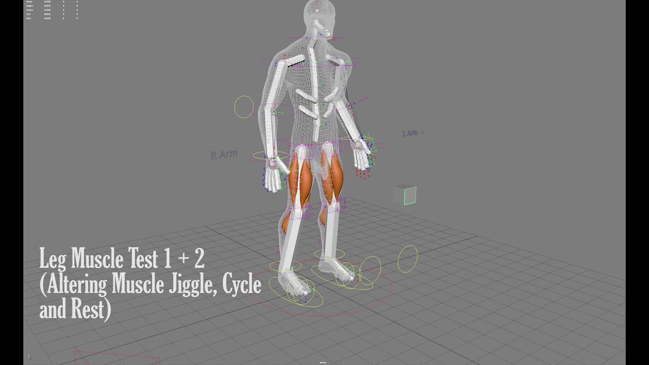 Maya Muscle 1. Leg Muscles early tests - YouTube