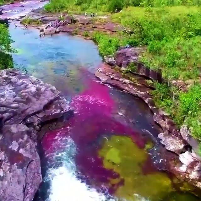Cano Cristales: Colombia's River of Five Colors | Nature's Breathtaking ...
