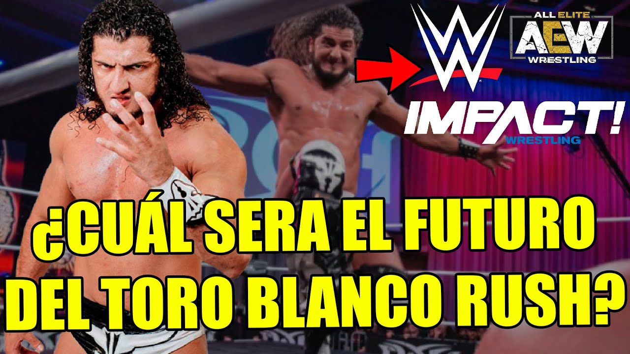 ¿Cuál será el futuro del Toro blanco Rush? - YouTube