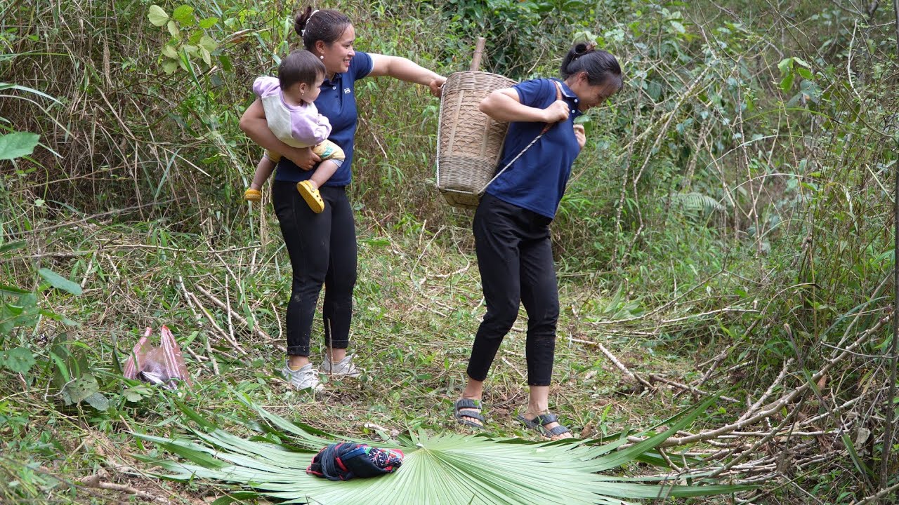 90 Days: Ly Thi Ca Donated 2 Puppies - Make Bamboo Fences, Harvesting ...