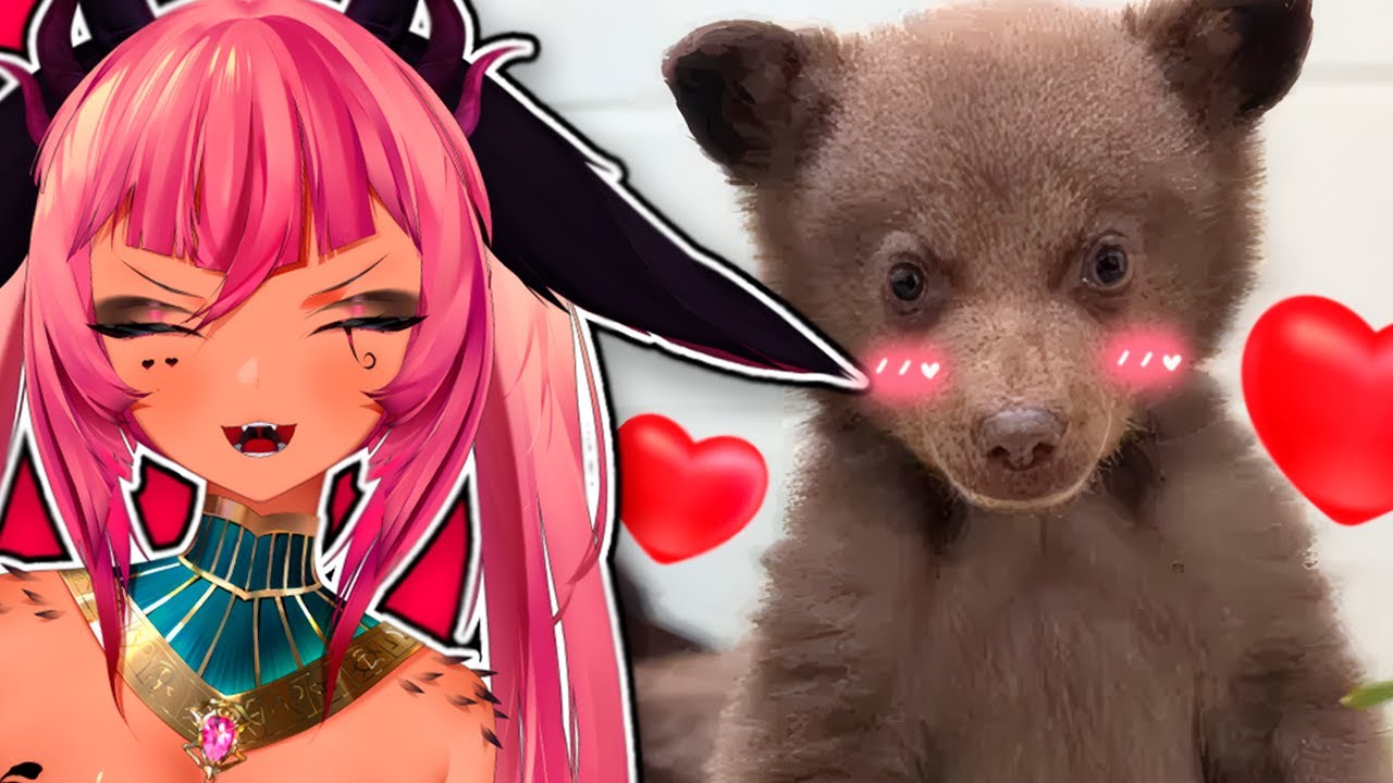 Tricky Reacts To The Ultimate Cute Animal Overload! - YouTube