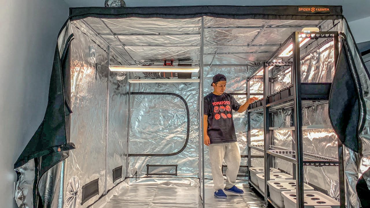 Basement 8x8 grow tent garden setup - YouTube