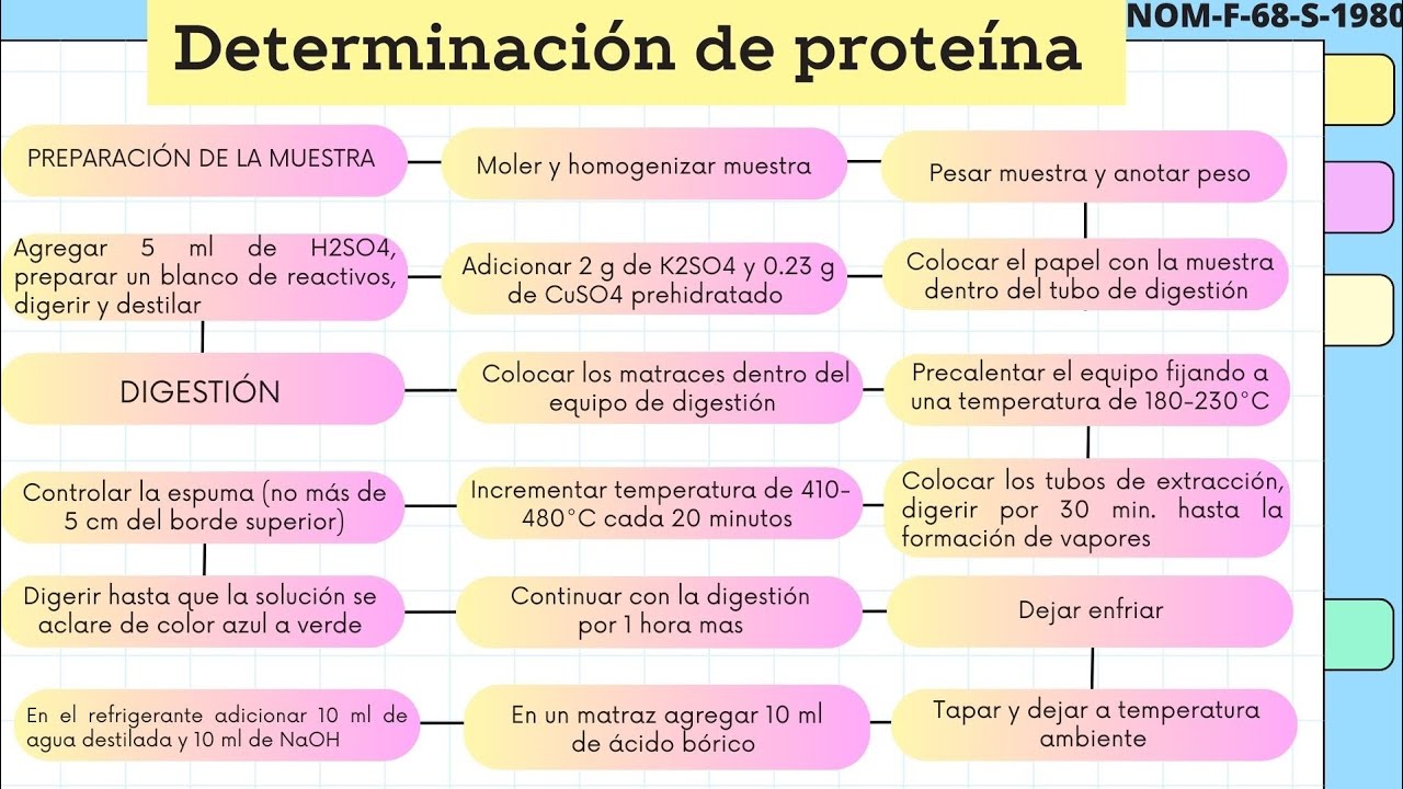 Reporte de práctica: Determinación de extracto etéreo, fibra y proteína ...