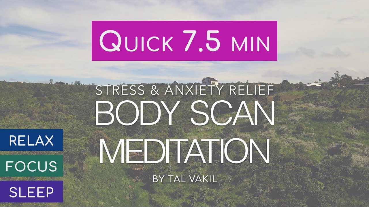 Quick Body Scan Meditation - 7.5 Minutes to Relax and Reset | Guided ...