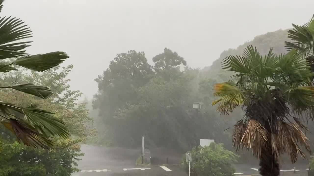Wind and Rain Lash Tokyo Area as South Japan Braces for Typhoon - YouTube