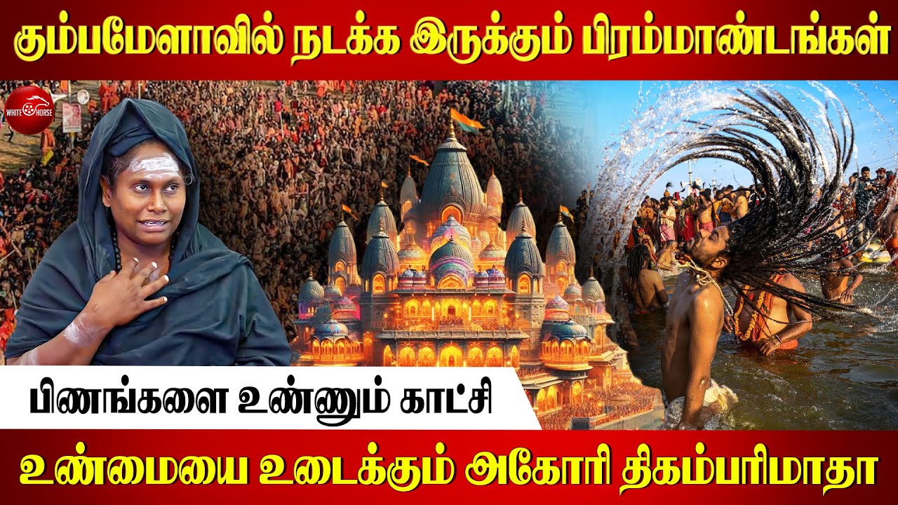 144 வருடத்திற்கு ஒருமுறை ஒன்றுகூடும் அகோரிகளின் திருவிழா | Agori ...