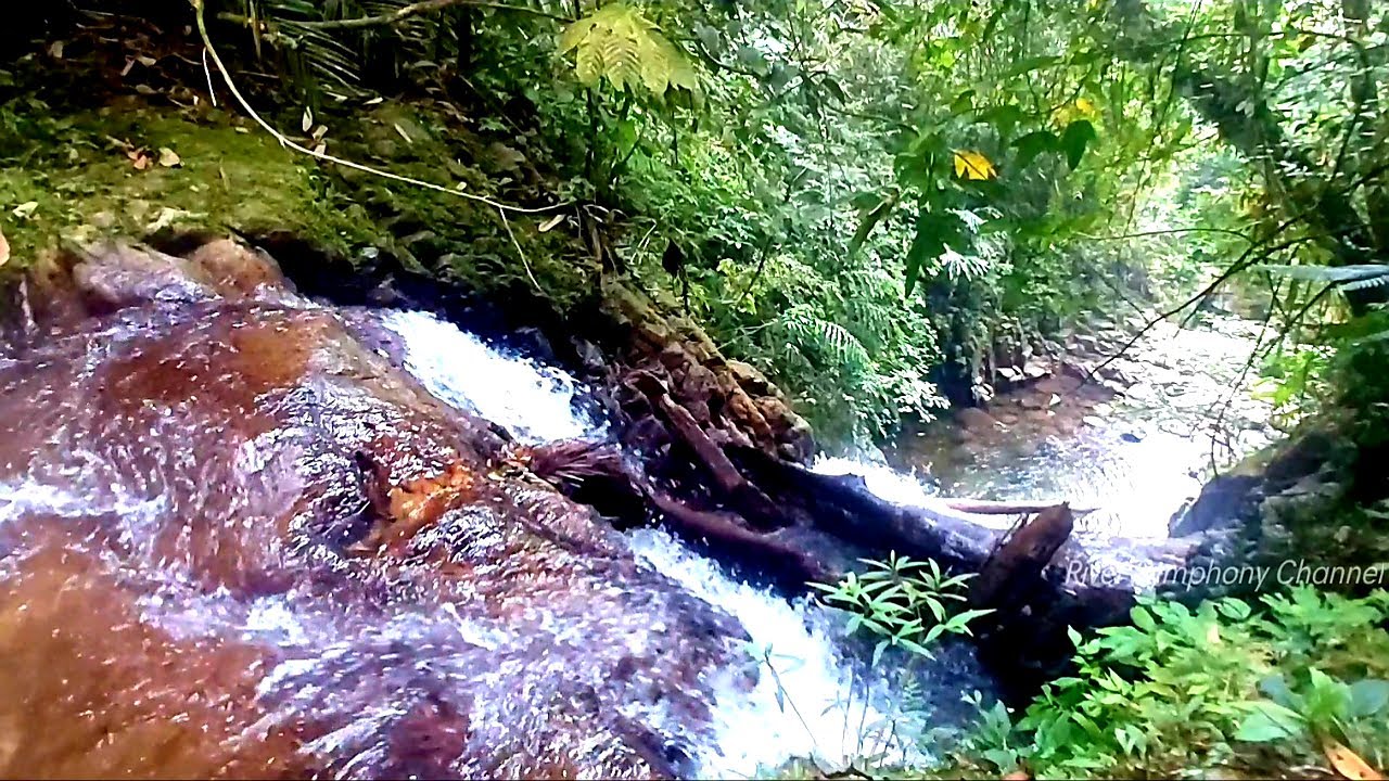 The Healing Power of Nature: Mesmerizing Waterfall Sounds - YouTube
