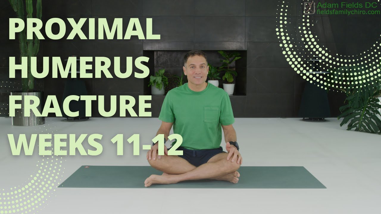 Proximal Humerus Fracture Weeks 11-12 | Planks with Shoulder Sways ...