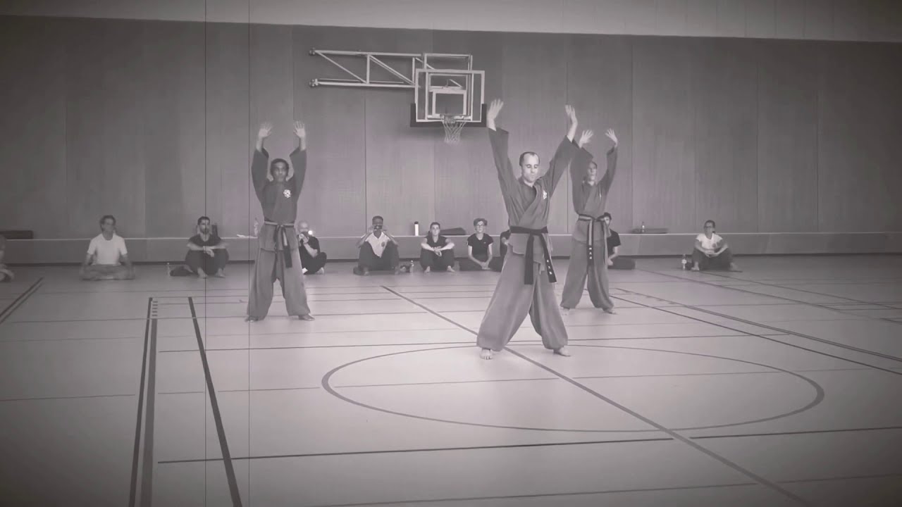 Sunmudo/ Sonmudo poomse at Strasbourg seminar. 2019 - YouTube