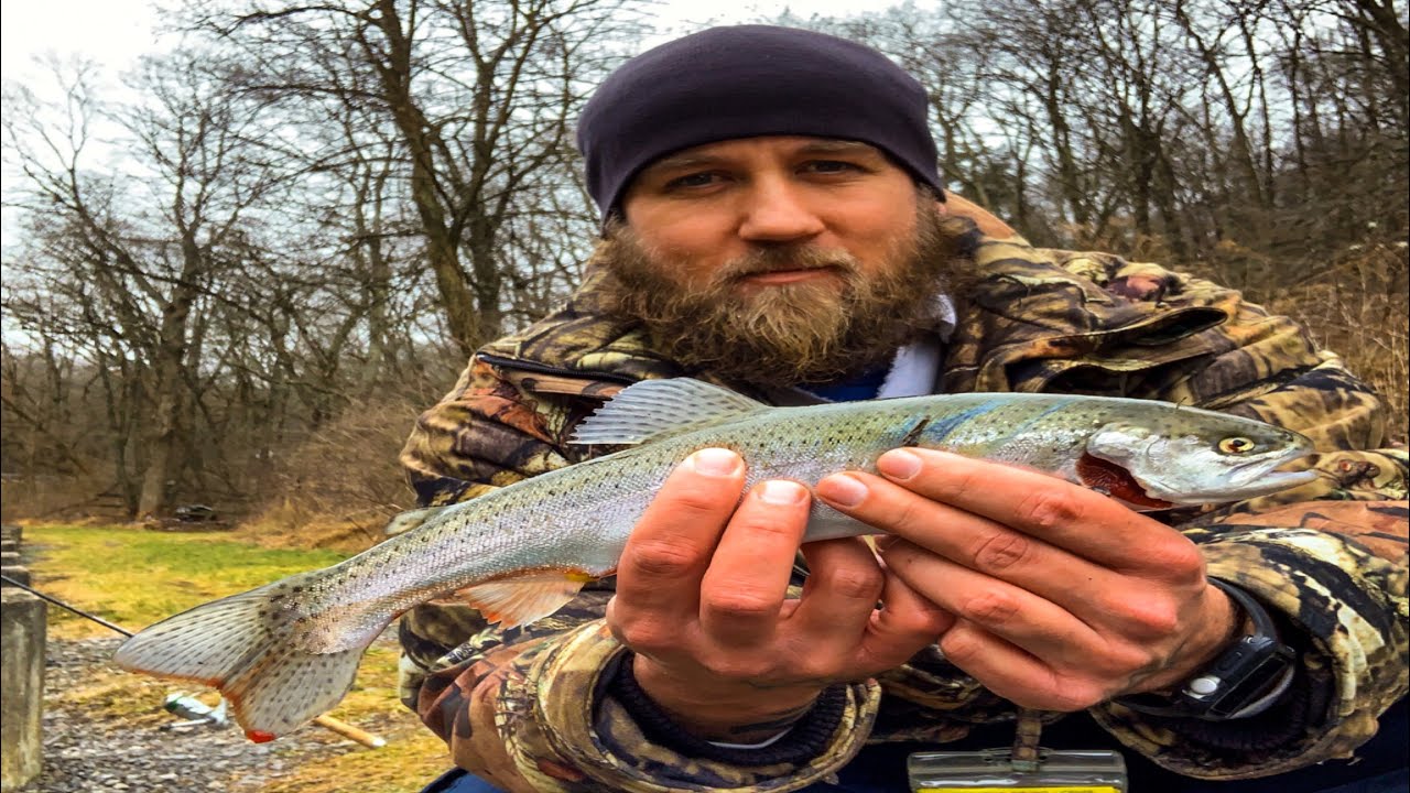 Winter Trout Fishing - YouTube