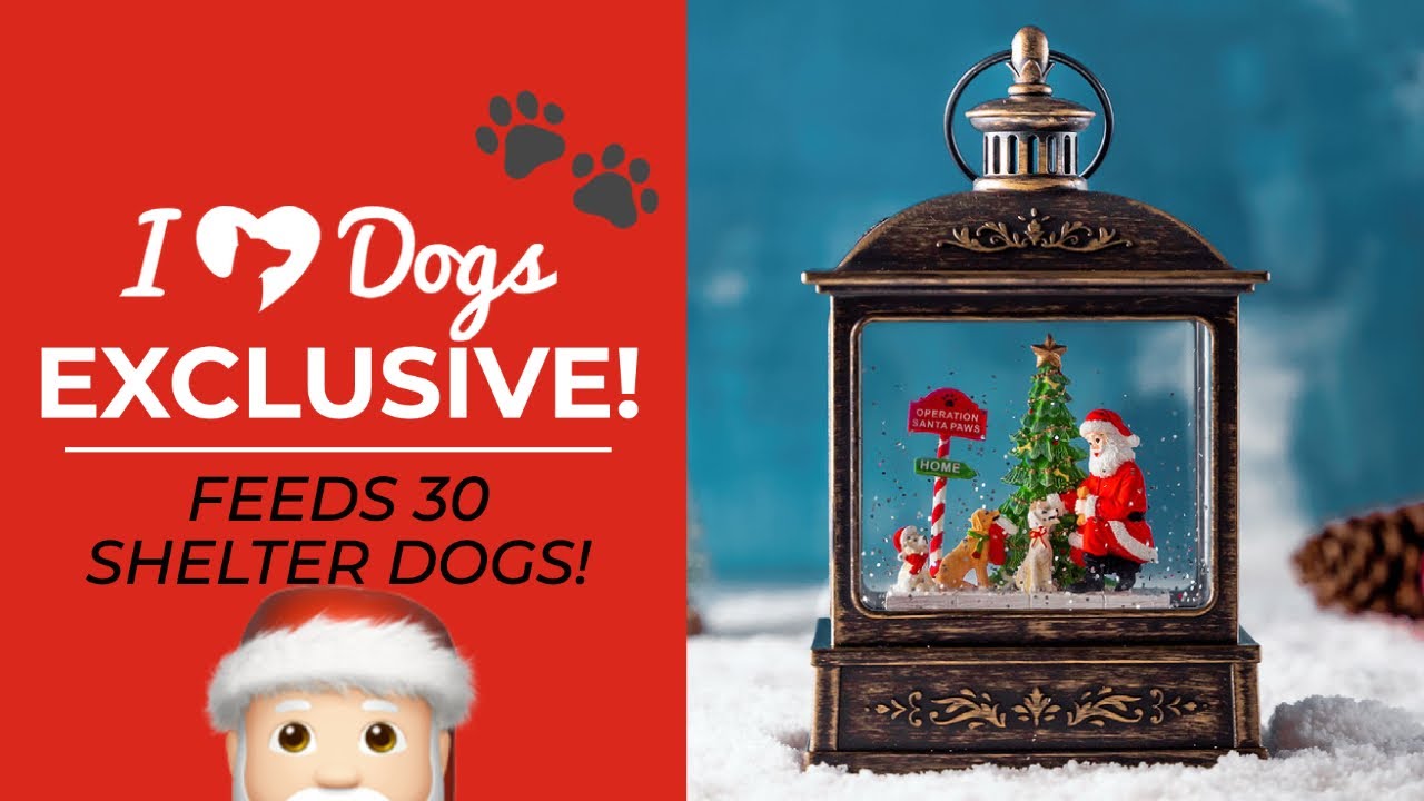 Operation Santa Paws Lantern (Feeds 30 Shelter Dogs!) - YouTube