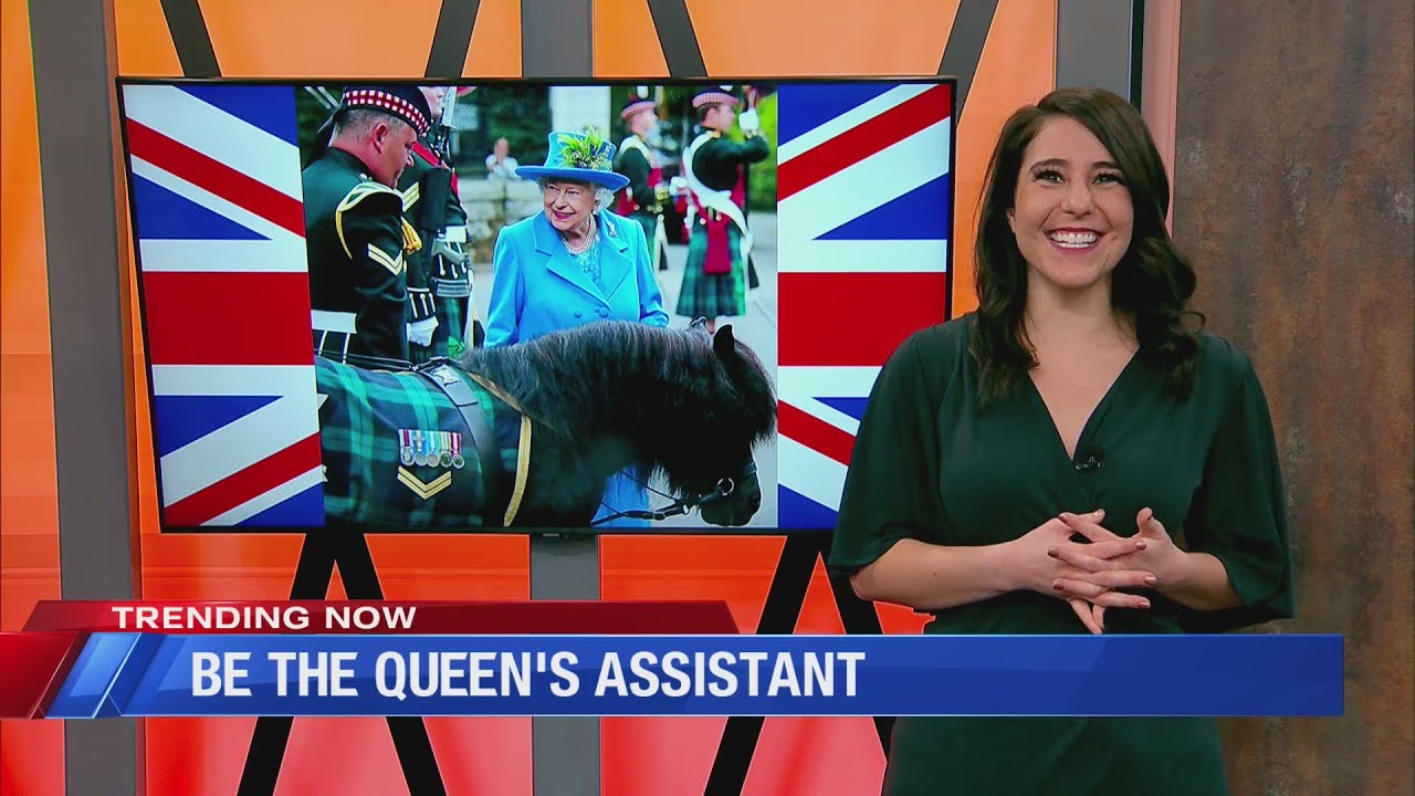 TRENDING: Be the Queen's Assistant - YouTube